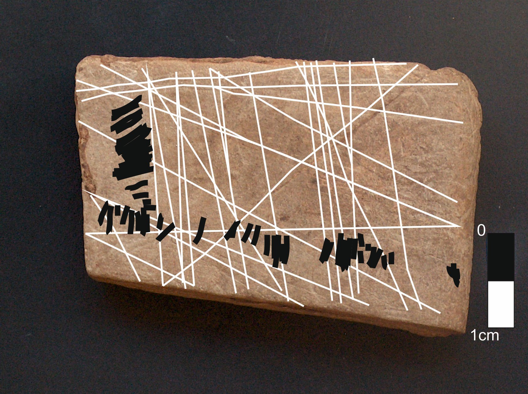 virtual museum: archaeology magdalenian engraved stone plaque