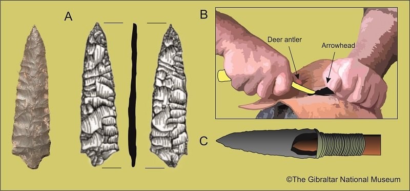 Gibraltar National Museum: virtual museum - archaeology solutrean arrowhead