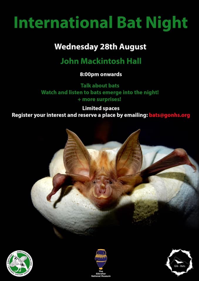 International Bat Night 2019