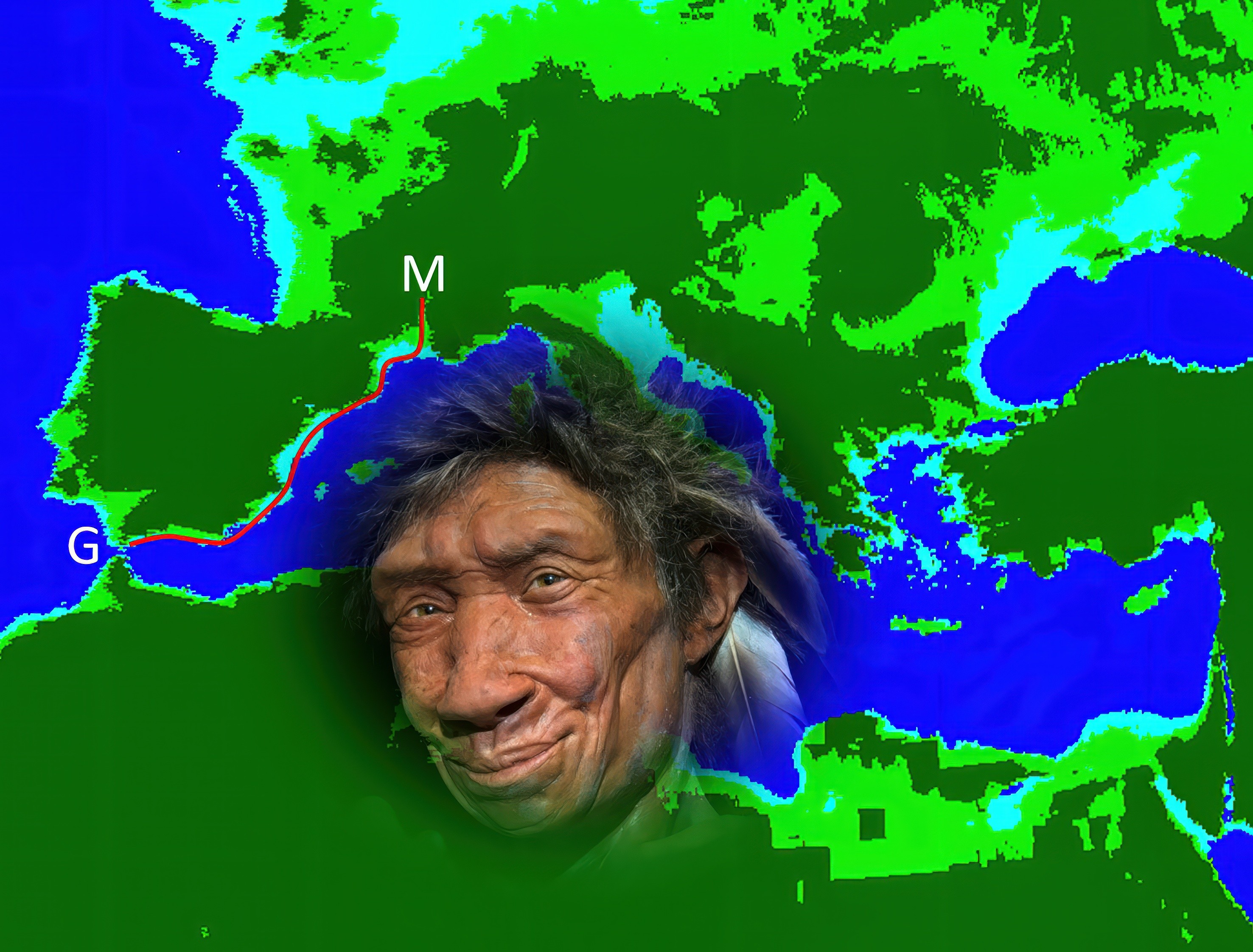 The Gibraltar 1 Neanderthal skull from 1848 continues to reveal its secrets